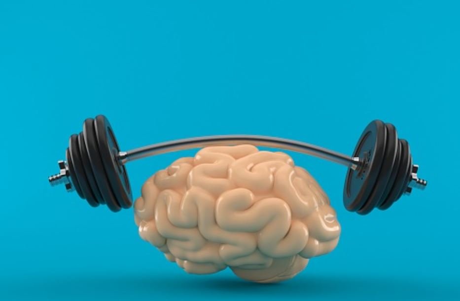 Olives Brain Function at Kenneth Keene blog